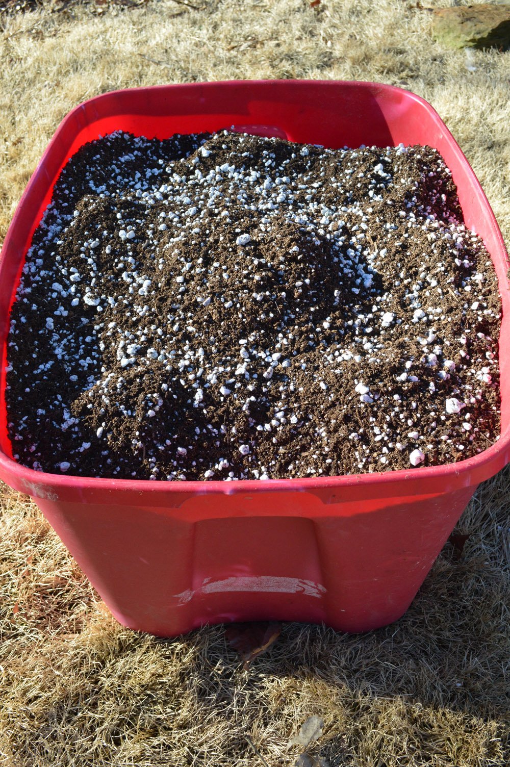 How To Make Soil Blocks - A Complete Guide to Start Seedlings - The ...