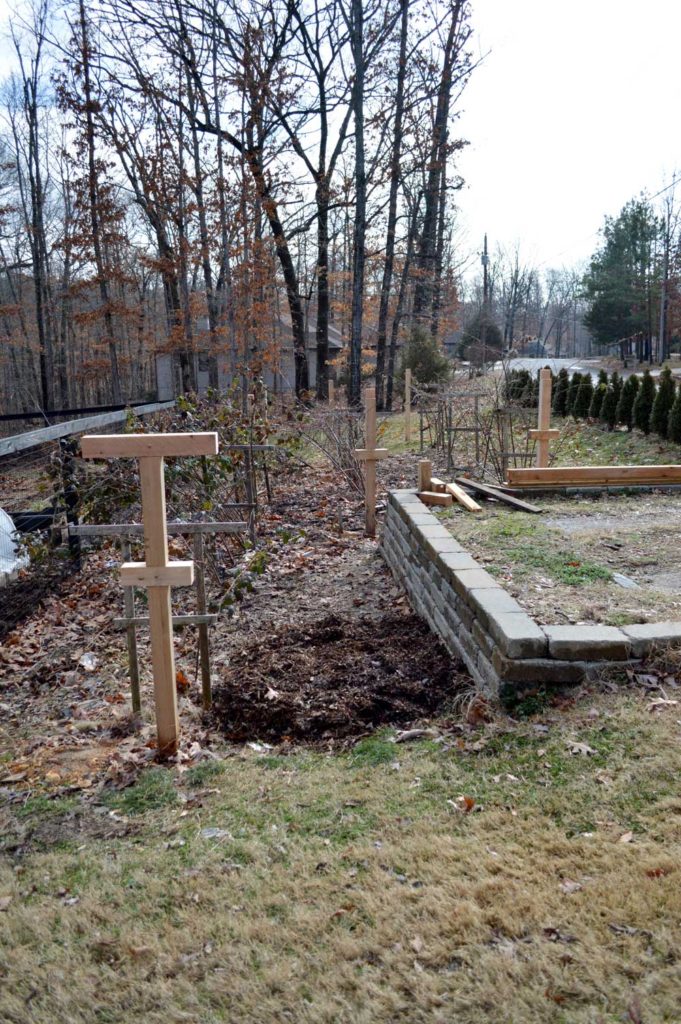 Best DIY Blackberry Trellis (Get Huge Yields!) - The Seasonal Homestead