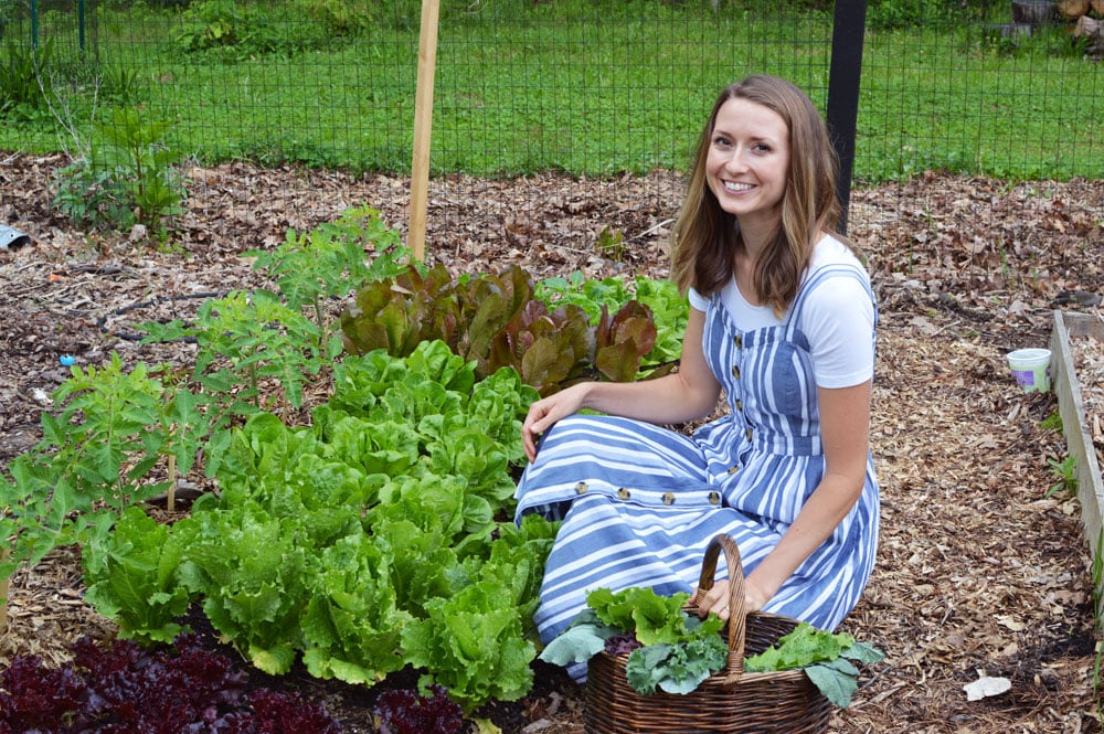 The Ultimate Guide to Growing More Food in a Small Space - The Seasonal ...