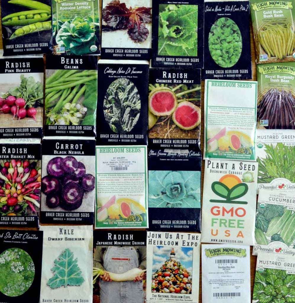 Seed Picks for my 2021 Garden (Warm Season Crops) - The Seasonal Homestead