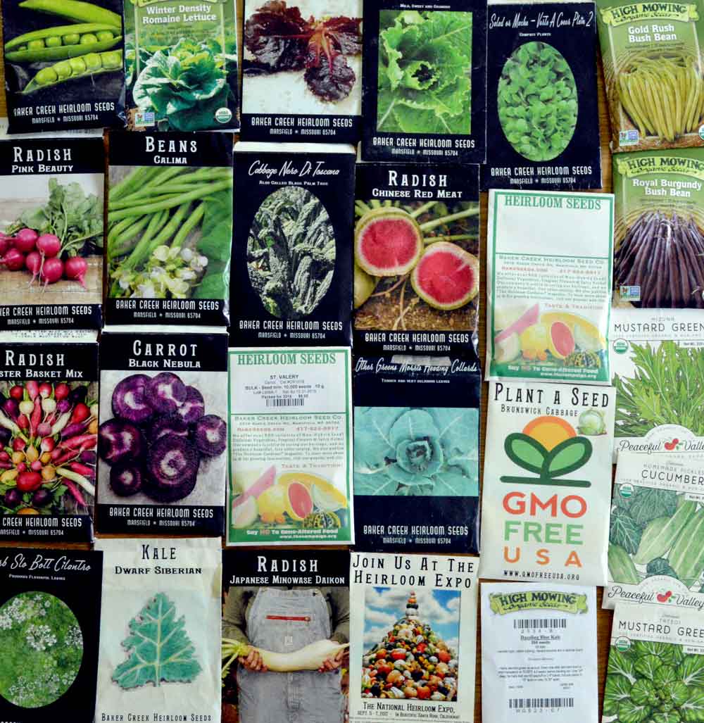 How to Plan for a Fall Garden - The Seasonal Homestead