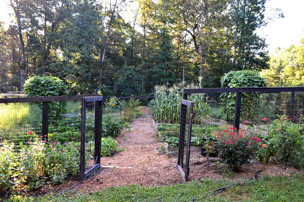 Plant Spacing in Raised Beds - The Seasonal Homestead