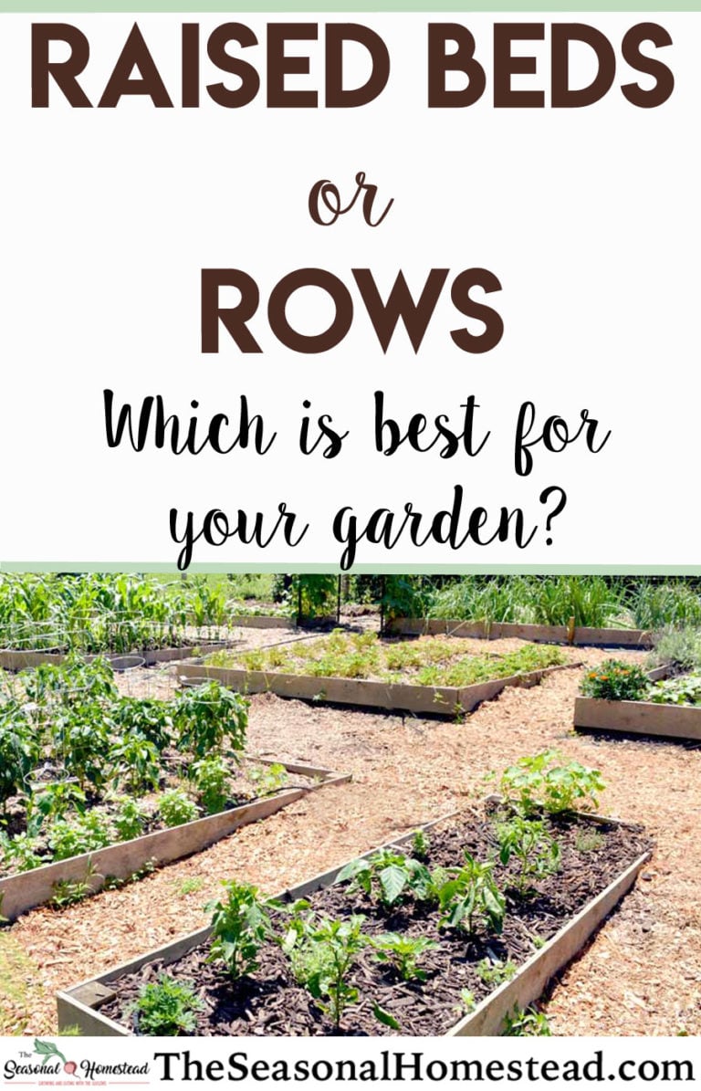 Getting Started with a Year Round Garden Part 2: Layout - The Seasonal ...