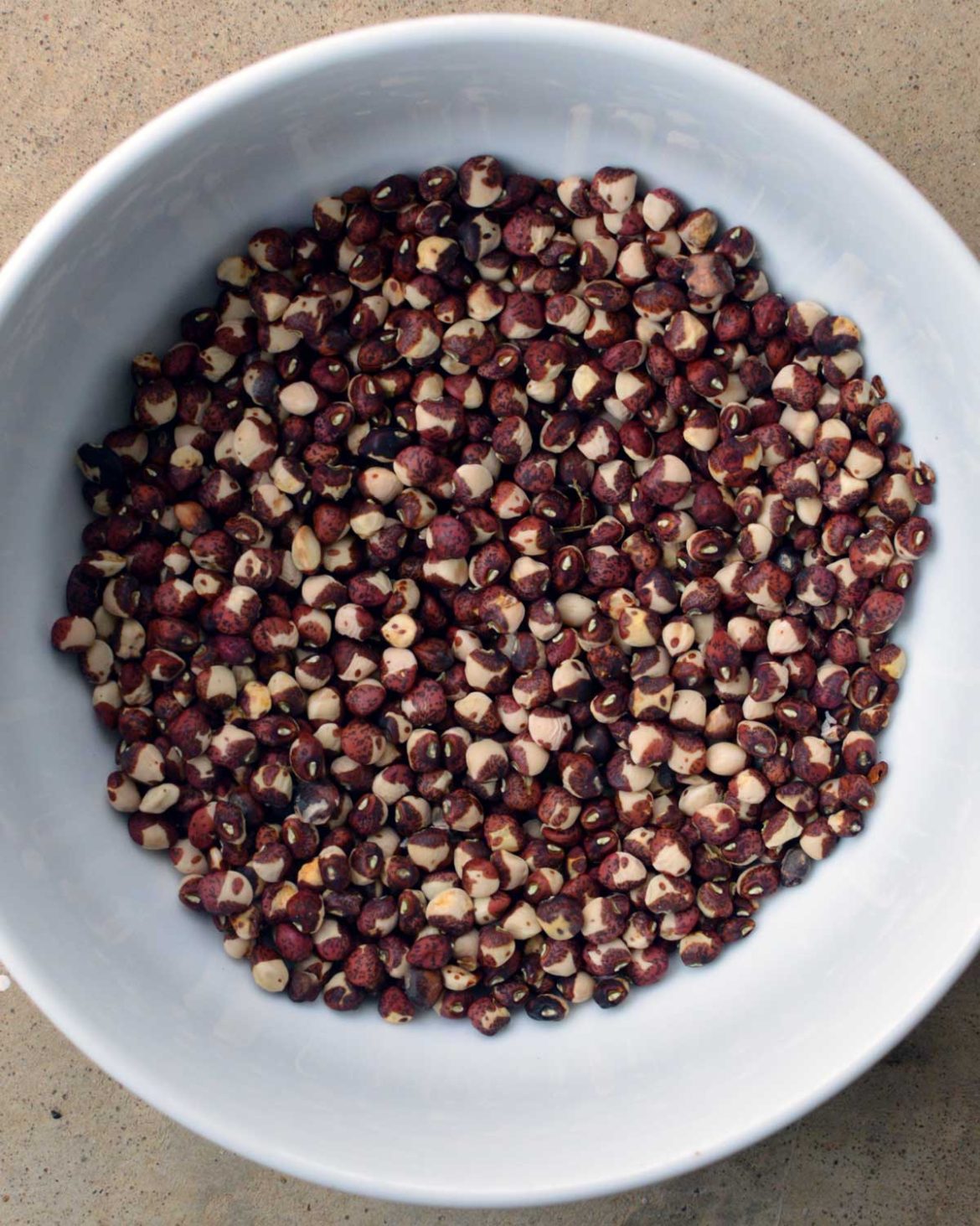 Crop Rotation Ideas for an Organic Vegetable Garden - The Seasonal ...