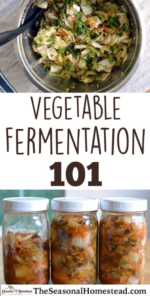 Vegetable Fermentation 101 - The Seasonal Homestead