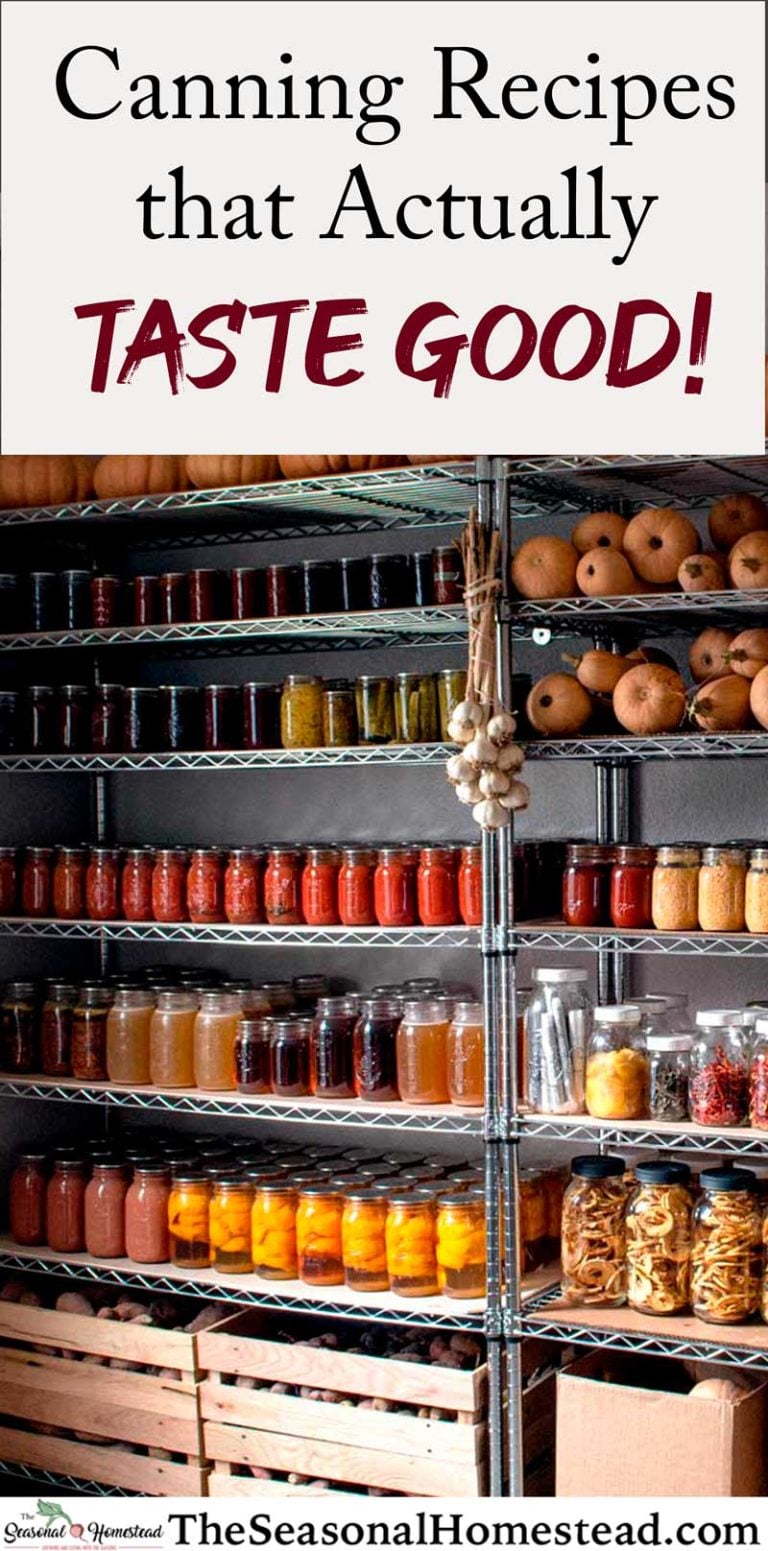 Canning Recipes that Actually Taste Good - The Seasonal Homestead