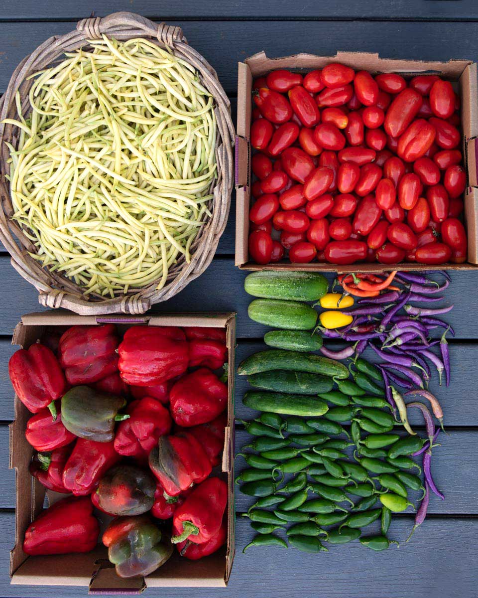 10 Reasons Why You Should Be Growing Your Own Food - The Seasonal Homestead