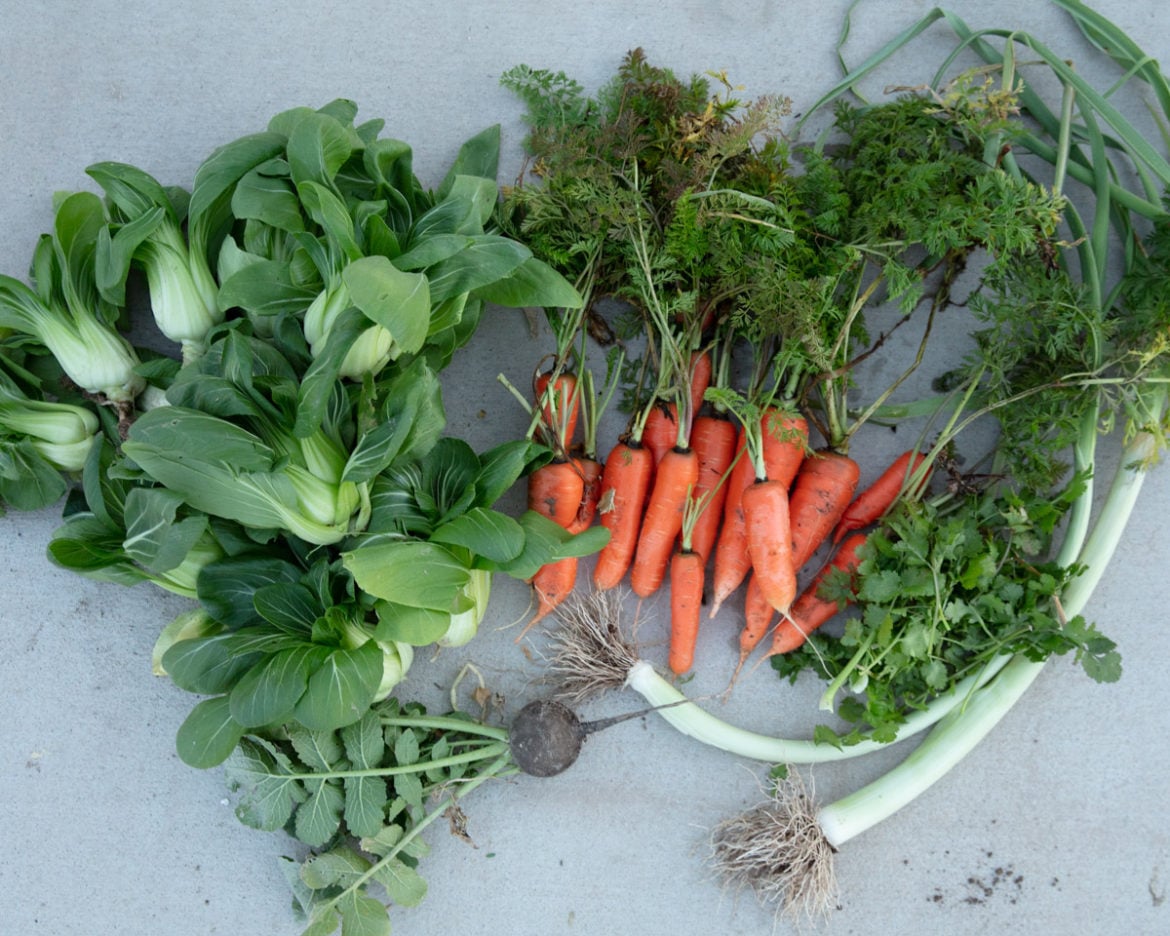 Crop Rotation Ideas for an Organic Vegetable Garden - The Seasonal ...