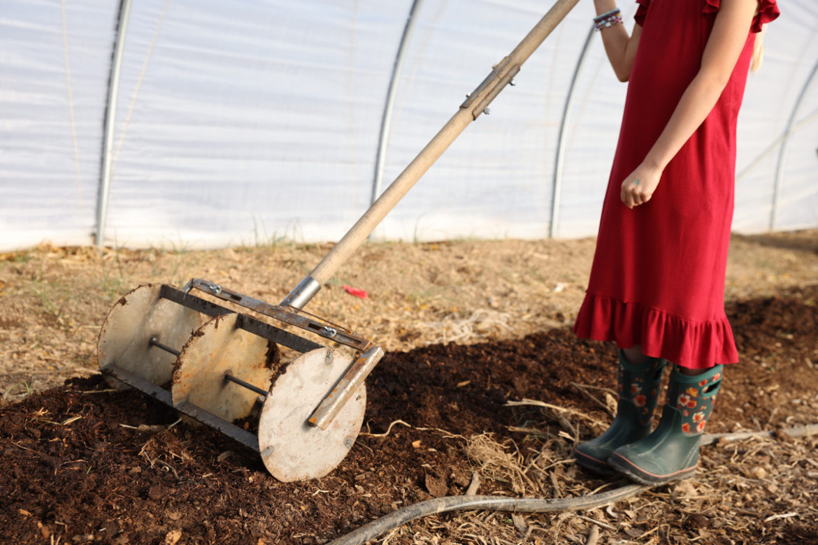 3 Foolproof Methods for Planting Carrot Seeds - The Seasonal Homestead