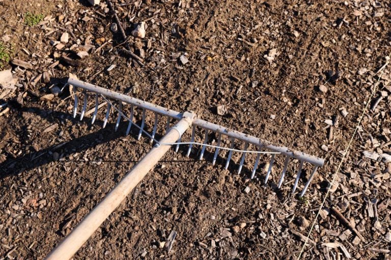 25 Garden Tools and Their Uses (with pictures) - The Seasonal Homestead