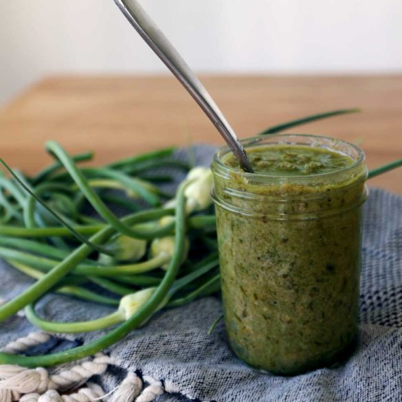 Garlic Scape Pesto - The Seasonal Homestead