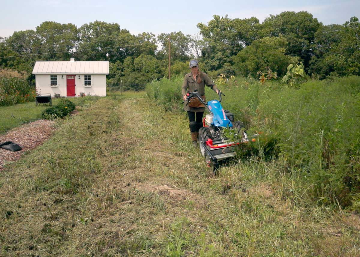 25 Garden Tools and Their Uses (with pictures) - The Seasonal Homestead