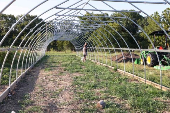 Caterpillar Tunnel vs. High Tunnel | What's the difference? - The ...