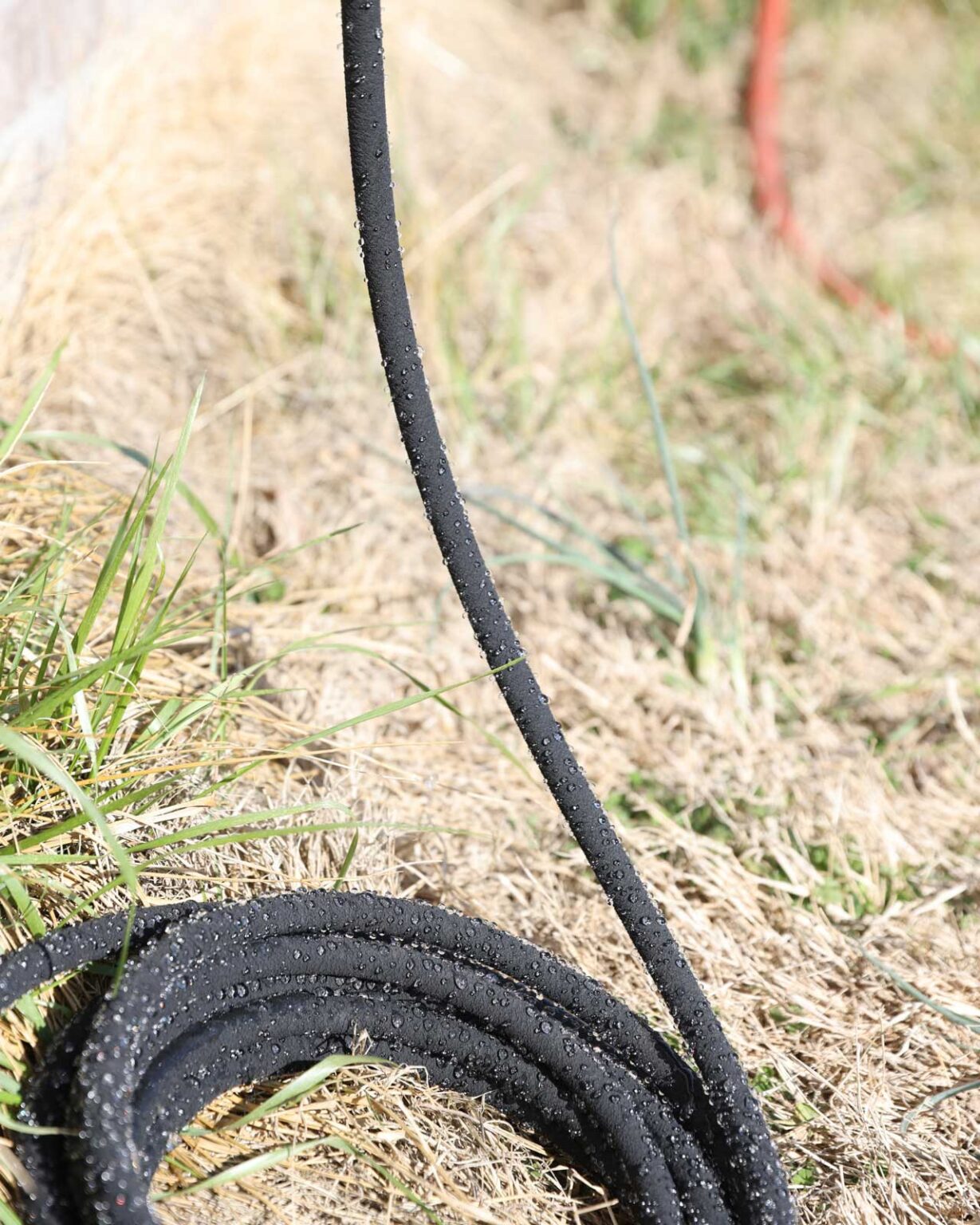Why I Stopped Using Soaker Hoses - The Seasonal Homestead