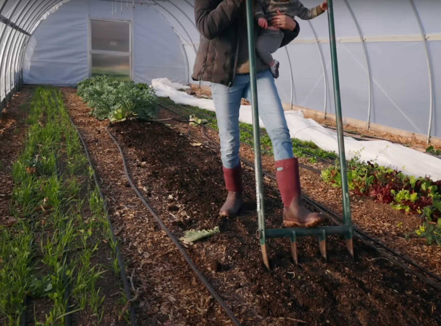 3 Foolproof Methods for Planting Carrot Seeds - The Seasonal Homestead