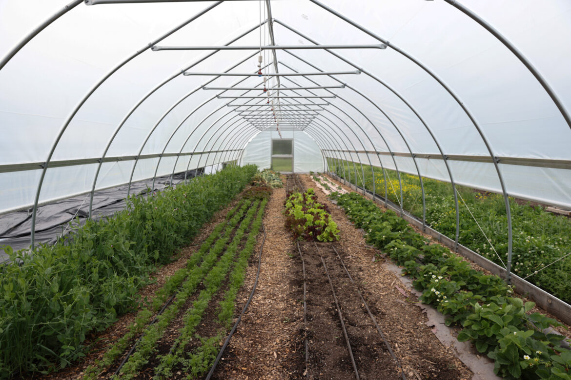 NRCS Grants - Our Experience - The Seasonal Homestead