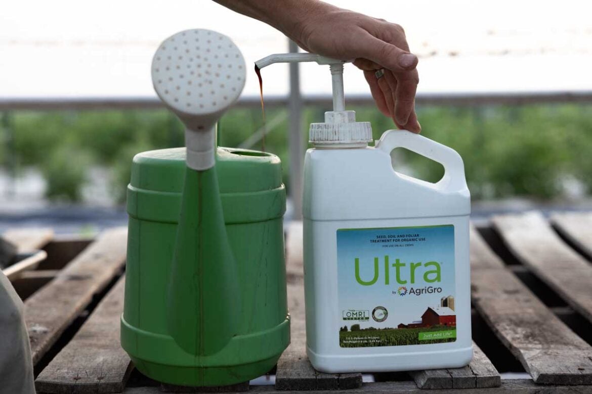 The Best Fertilizer for Tomato Plants - The Seasonal Homestead