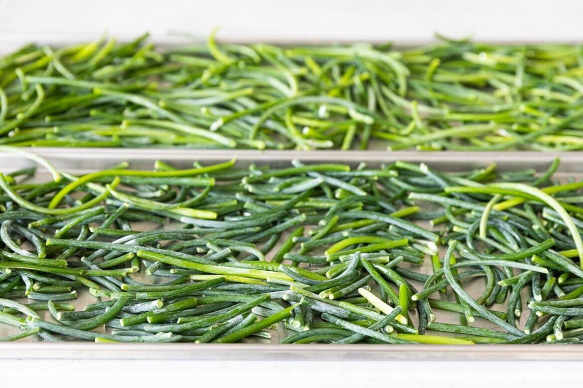 How to Make Freeze Dried Garlic Scape Powder - The Seasonal Homestead