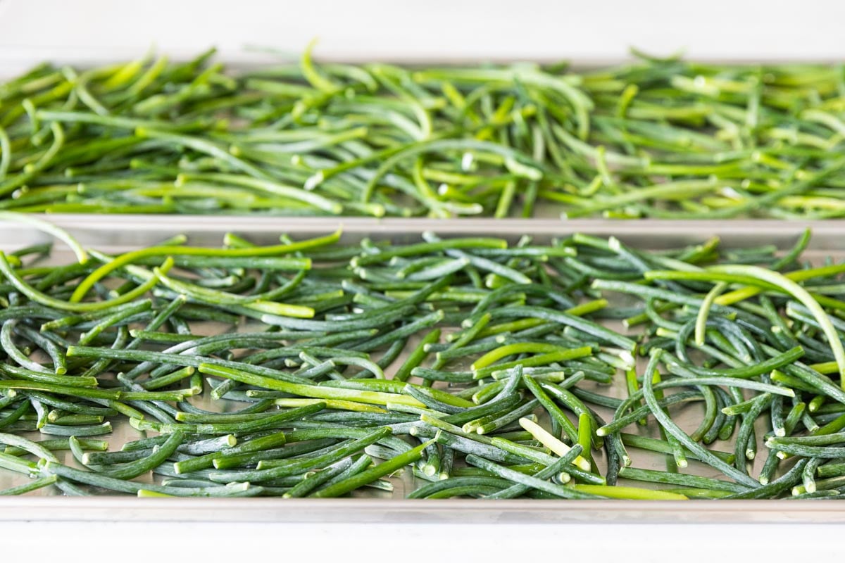 How to Make Freeze Dried Garlic Scape Powder - The Seasonal Homestead