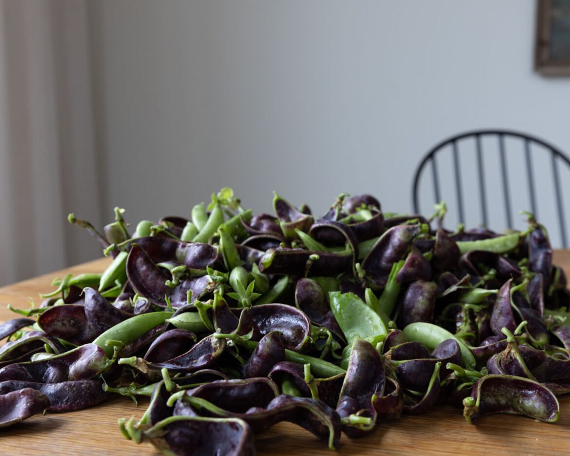 How to Freeze Snap and Snow Peas - The Seasonal Homestead