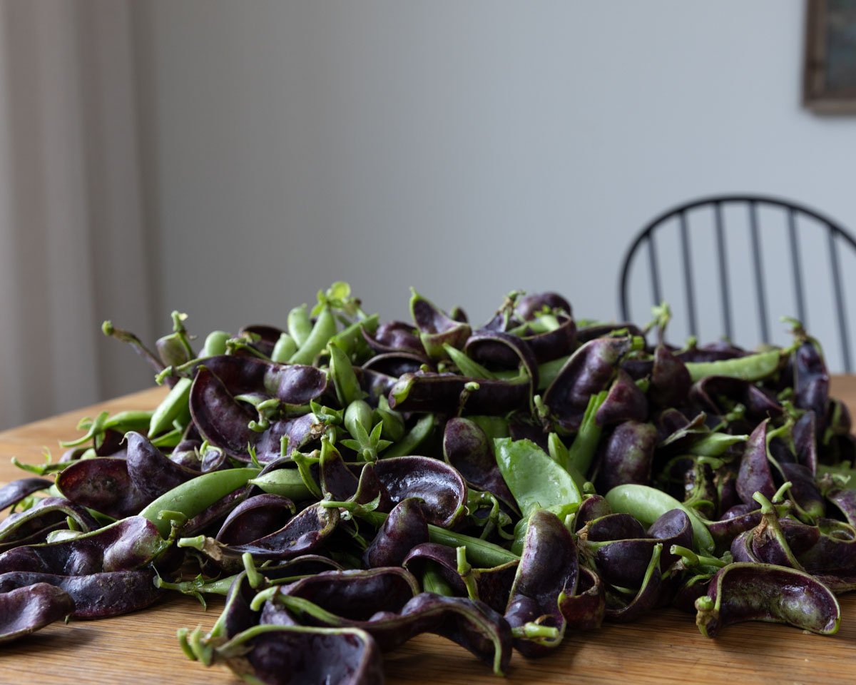 How to Freeze Snap and Snow Peas - The Seasonal Homestead