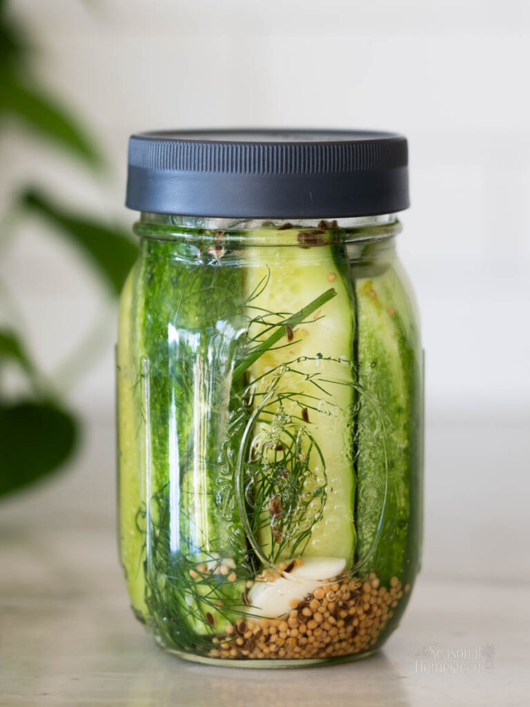 Refrigerator Dill Pickles - The Seasonal Homestead