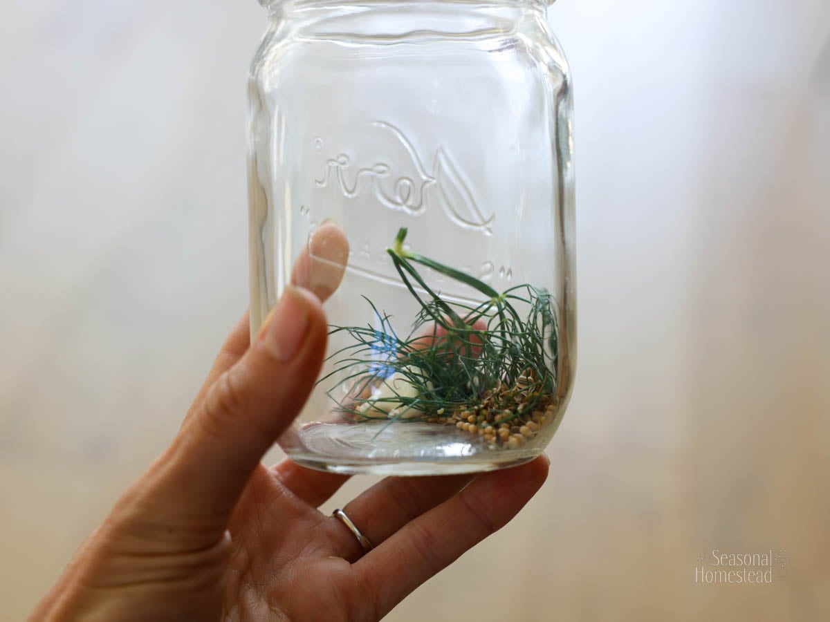 Refrigerator Dill Pickles - The Seasonal Homestead