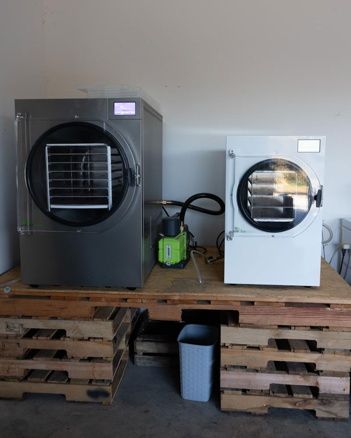 How to Use a Freeze Dryer & Tips - The Seasonal Homestead