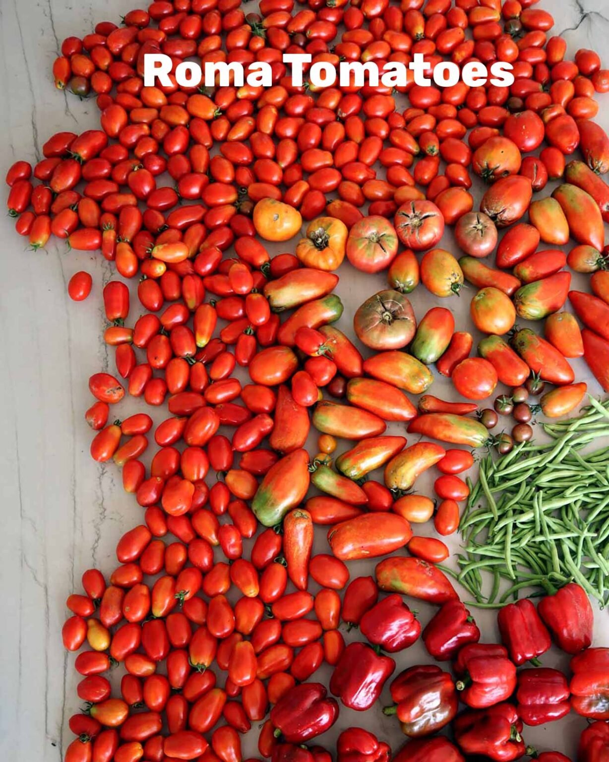 The 10 Best Tomatoes to Grow - The Seasonal Homestead