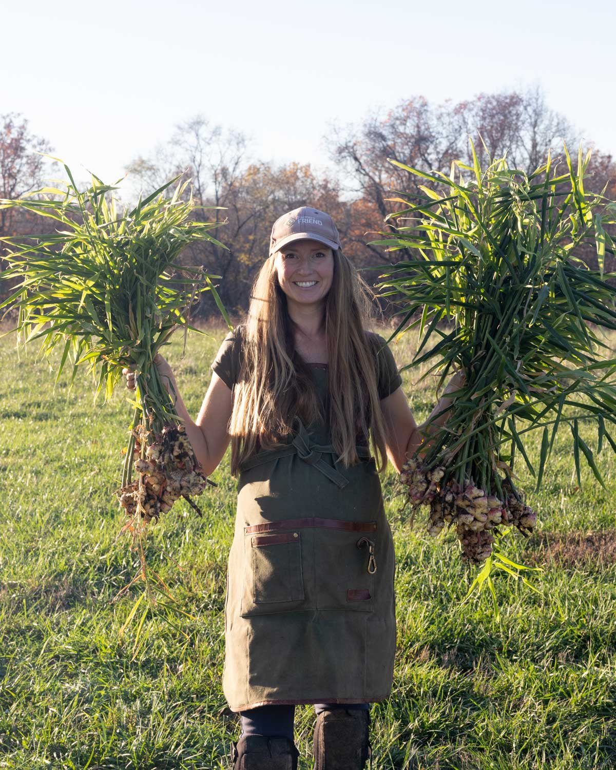 How to Grow Ginger - The Seasonal Homestead