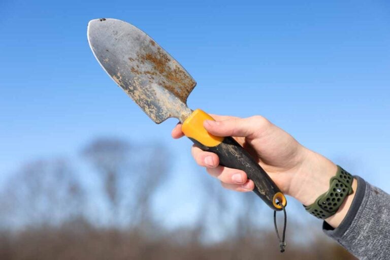 25 Garden Tools and Their Uses (with pictures) - The Seasonal Homestead