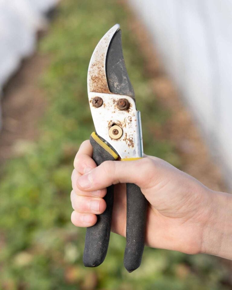 25 Garden Tools and Their Uses (with pictures) - The Seasonal Homestead