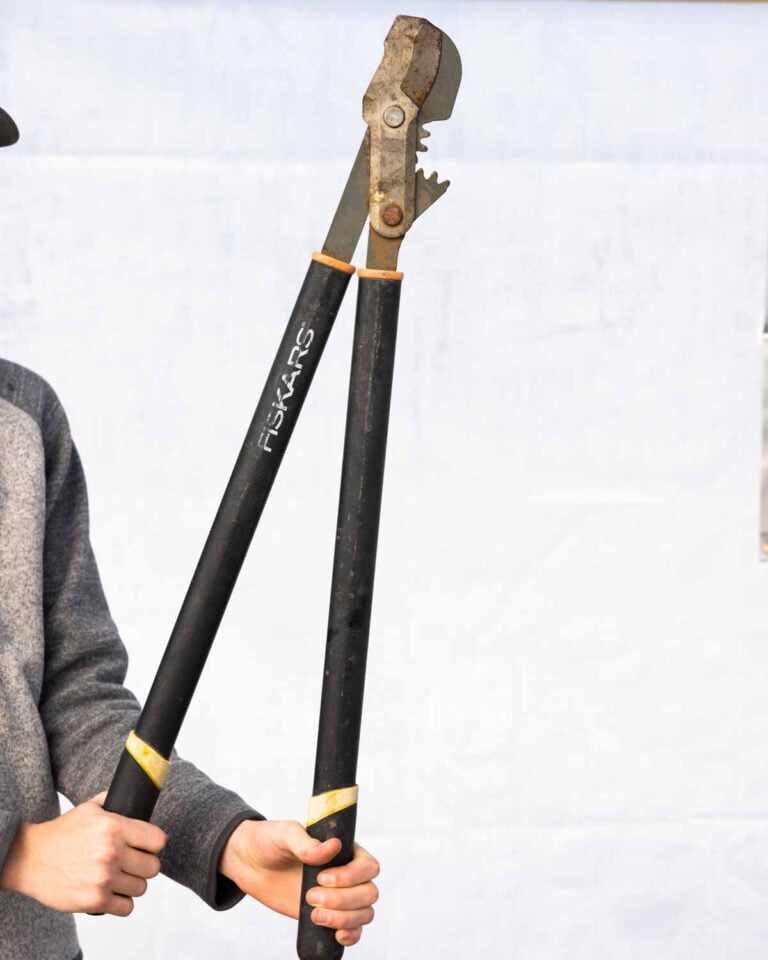 25 Garden Tools and Their Uses (with pictures) - The Seasonal Homestead