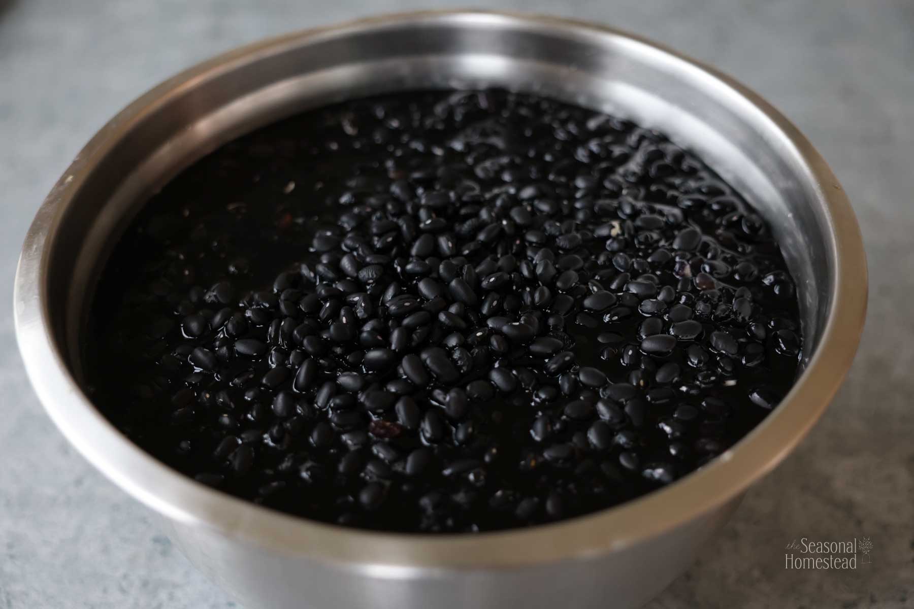 How to Can Dry Beans (without Gassiness!) - The Seasonal Homestead