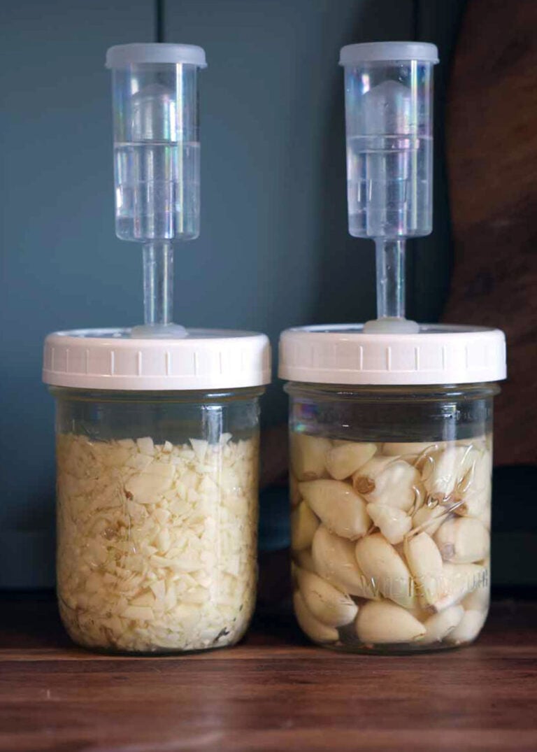 Fermented Garlic (Easy Recipe!) - The Seasonal Homestead