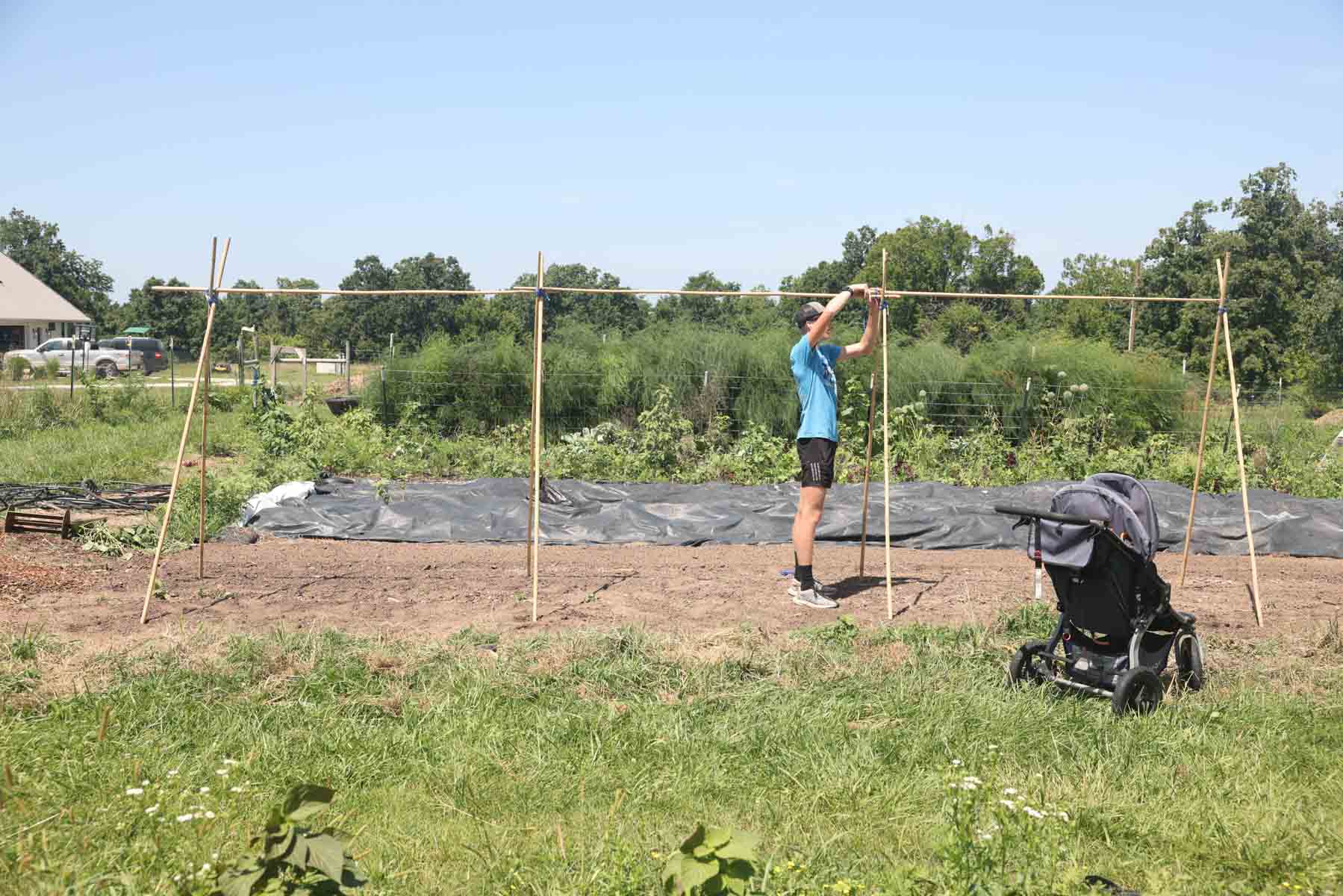 How to Build a Pole Bean Trellis - The Seasonal Homestead
