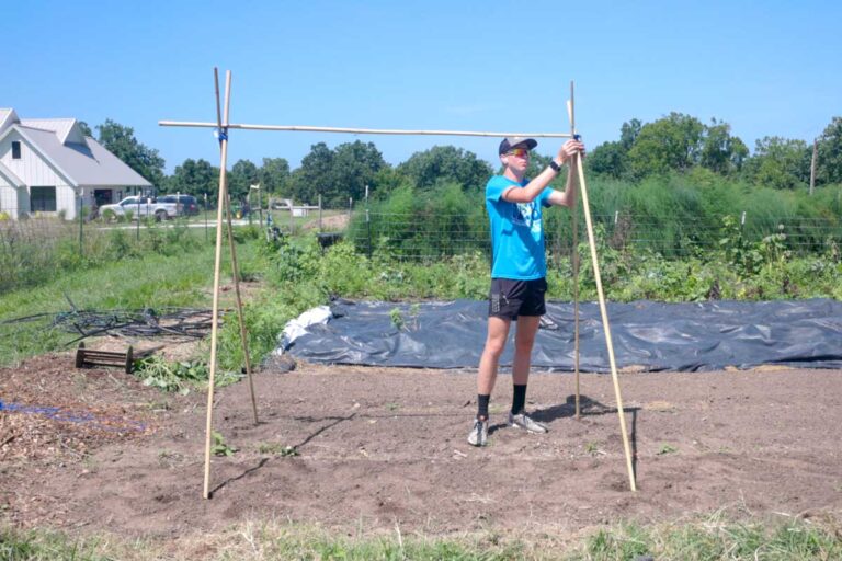 How to Build a Pole Bean Trellis - The Seasonal Homestead