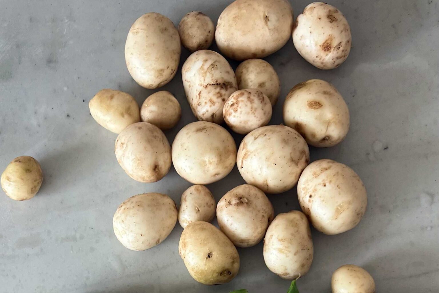 When to Harvest Potatoes - The Seasonal Homestead